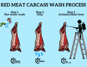 Should you wash meat before cooking it? - Animal Agriculture Alliance